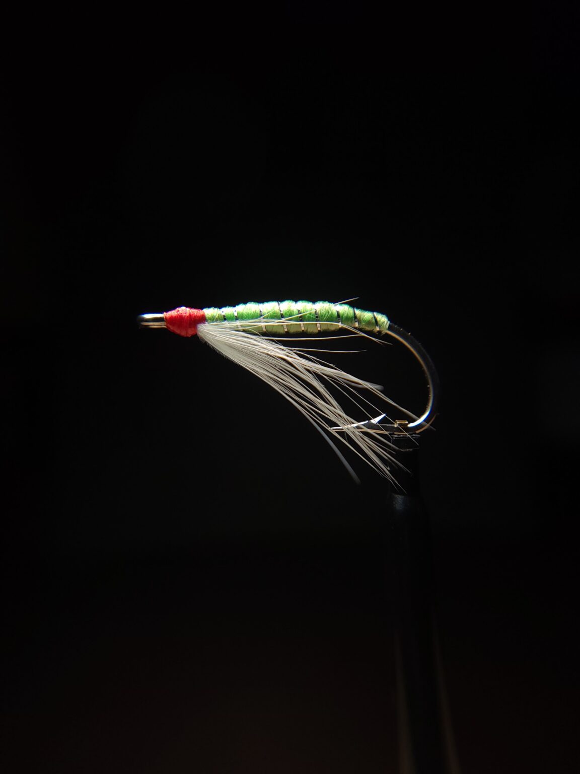 Cole Wilde’s Shad Fly - Shad on the Fly
