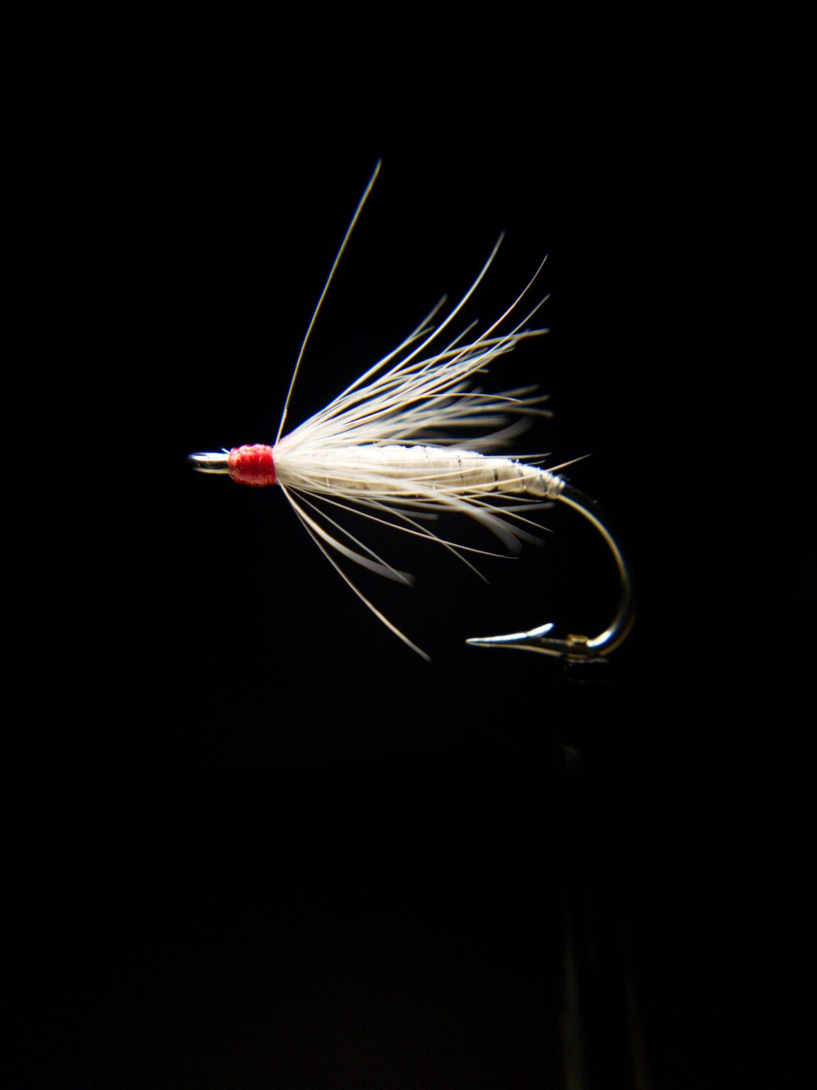Cole Wilde’s Shad Fly Variation - Shad on the Fly