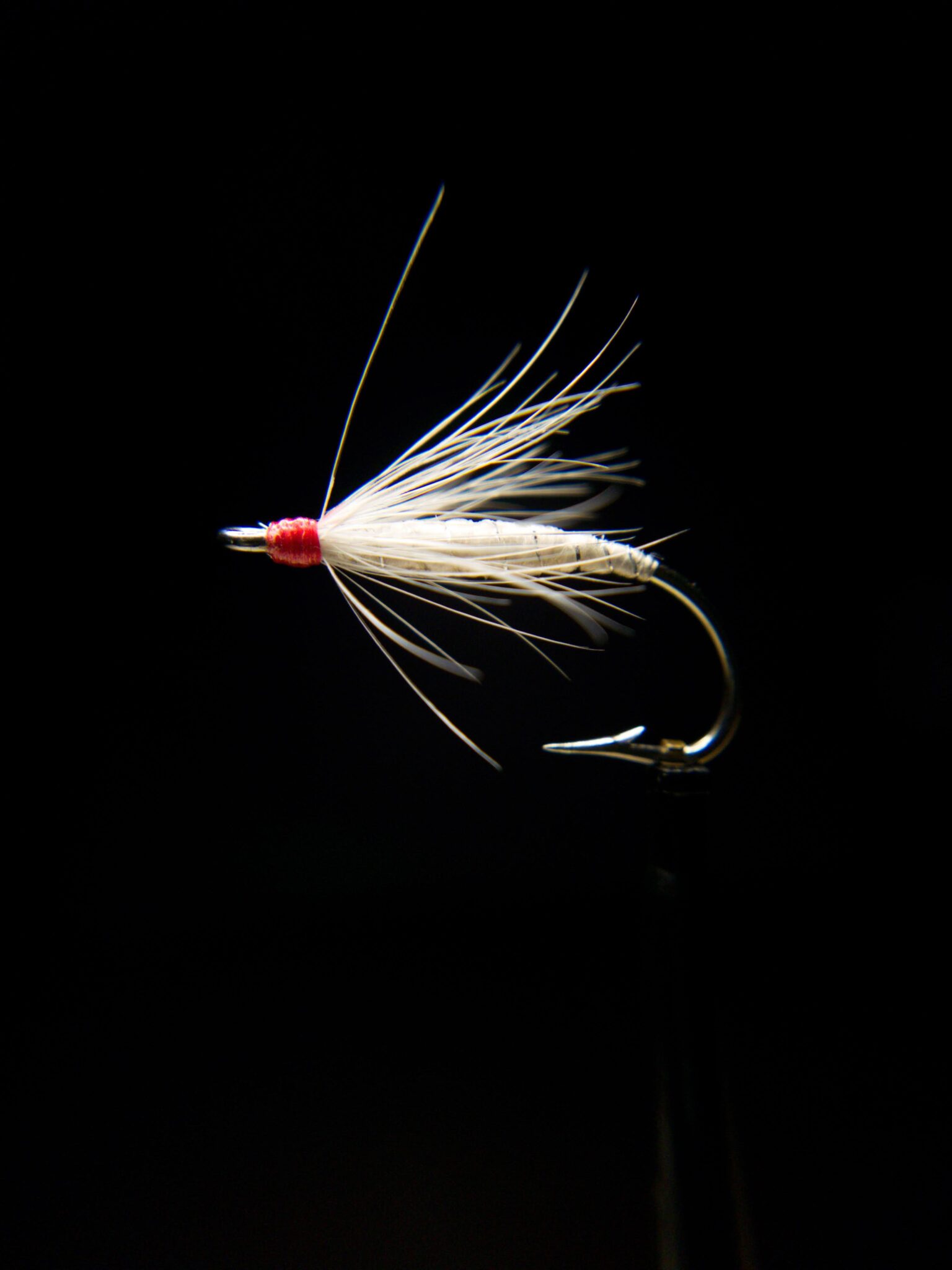 Cole Wilde’s Shad Fly Variation - Shad on the Fly