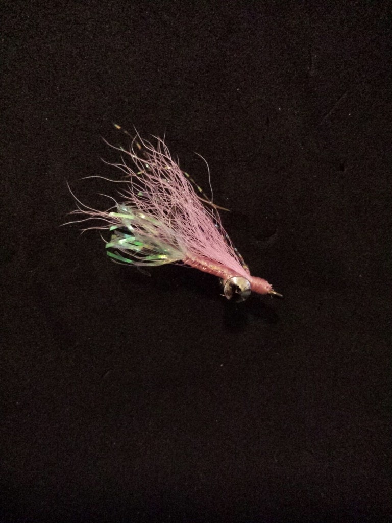 The Gotcha (Shad Fly) - Shad on the Fly
