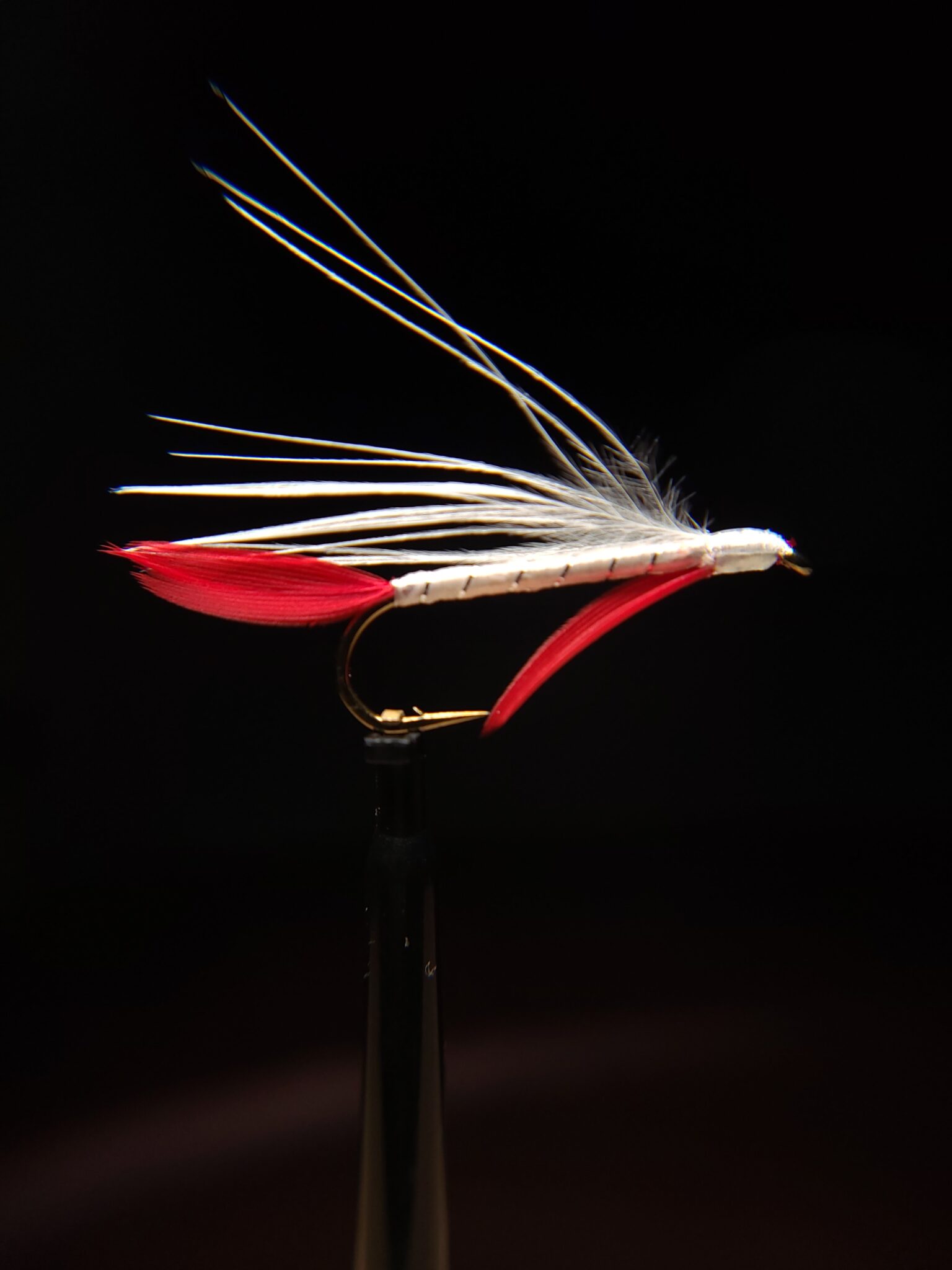 Janet’s Fancy Shad Fly - Shad on the Fly