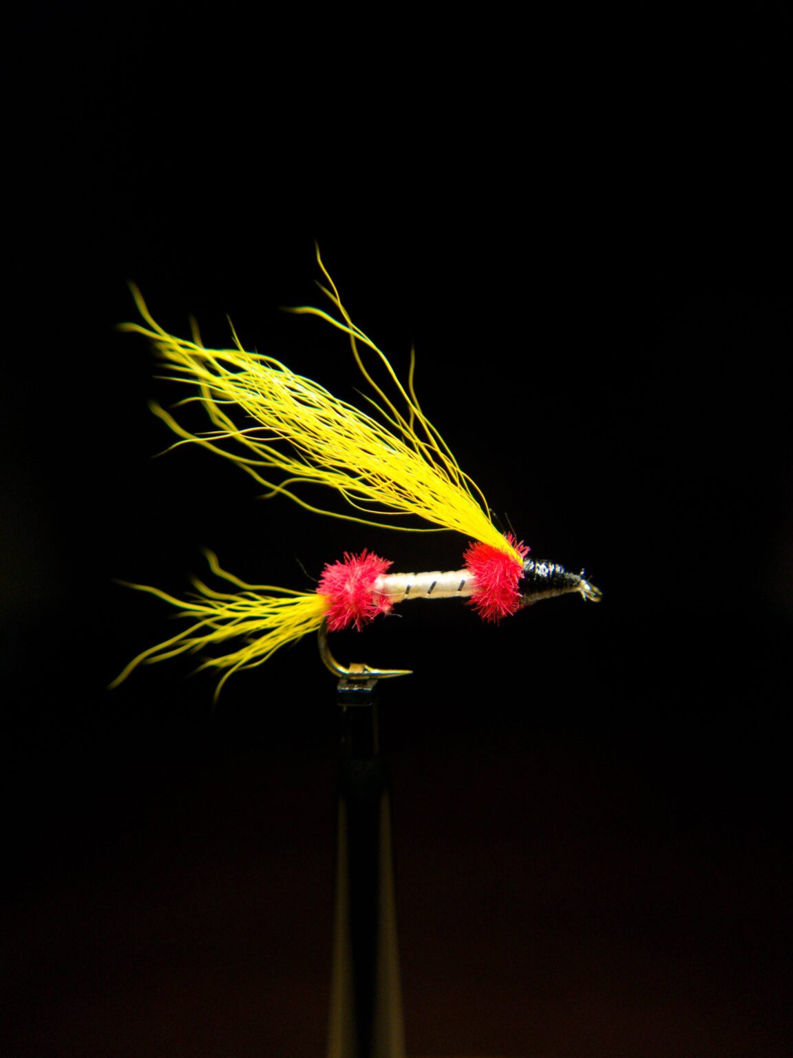 The Royal Shad Fly - Shad on the Fly