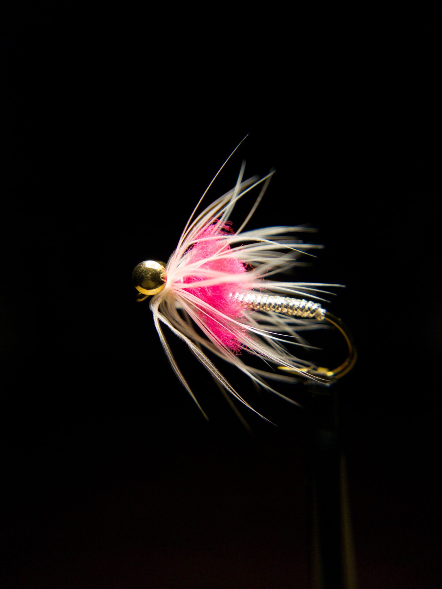The Hayden Shad Fly - Shad on the Fly