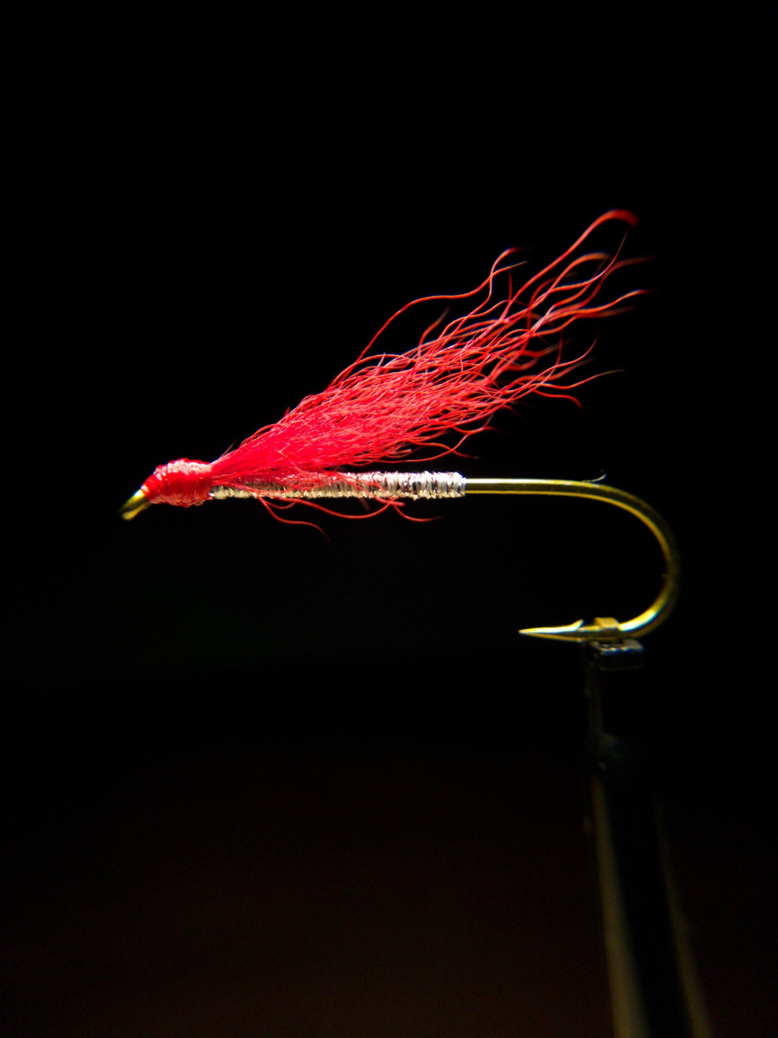 California Shad Fly #3 - Shad on the Fly