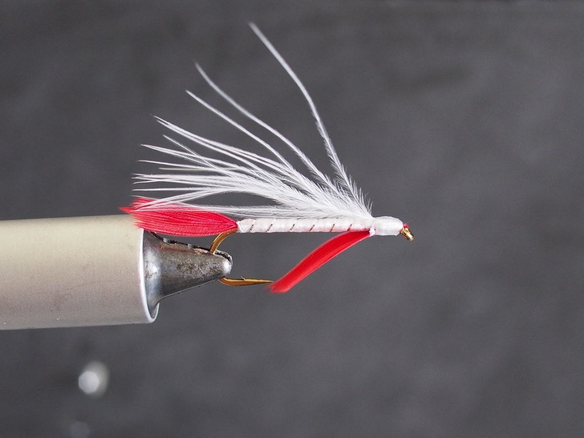 Janet’s Fancy Shad Fly - Shad on the Fly