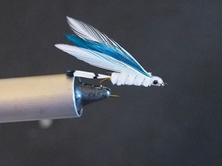 Maryland Shad Fly #3 – Shad on the Fly