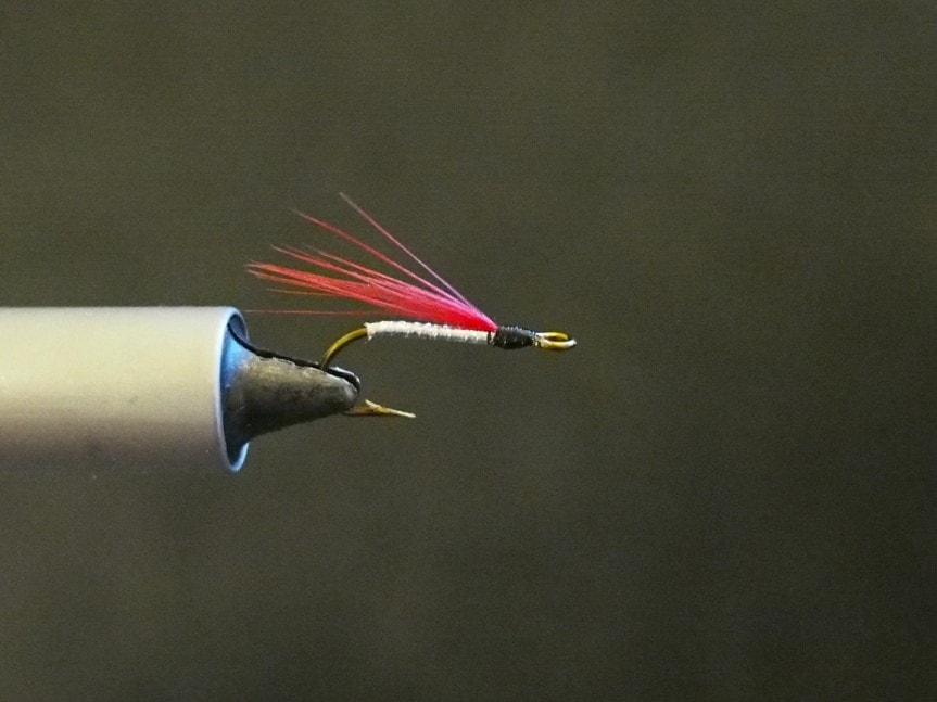 Silver Yank Shad Fly - Shad on the Fly