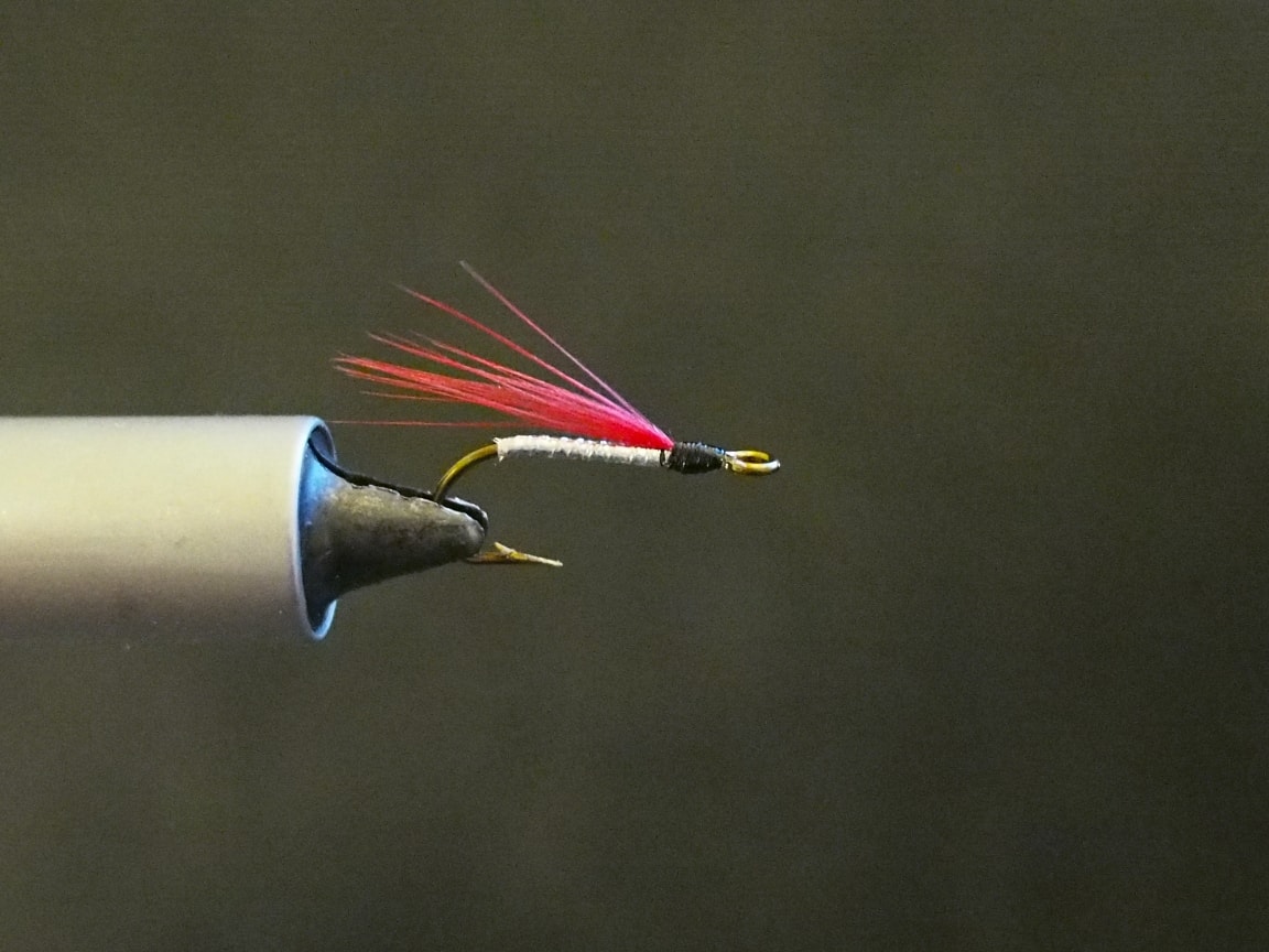 Silver Yank Shad Fly - Shad on the Fly