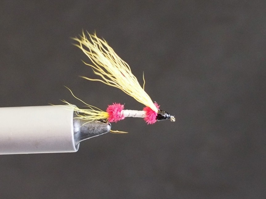The Royal Shad Fly - Shad on the Fly