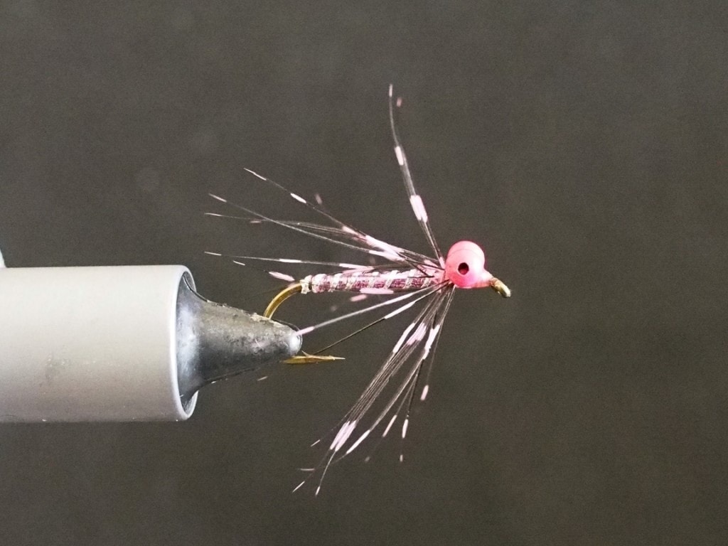 Soft Hackle Shad Fly - Shad on the Fly