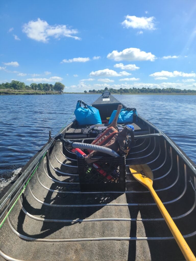 Shad on the Fly - a site dedicated to fly fishing for shad