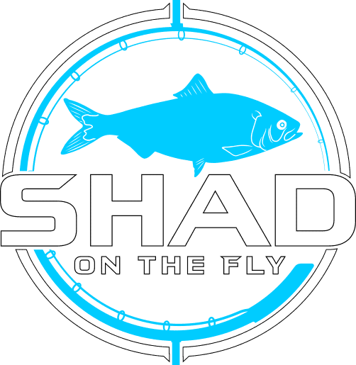 Shad Fly Patterns - Shad on the Fly
