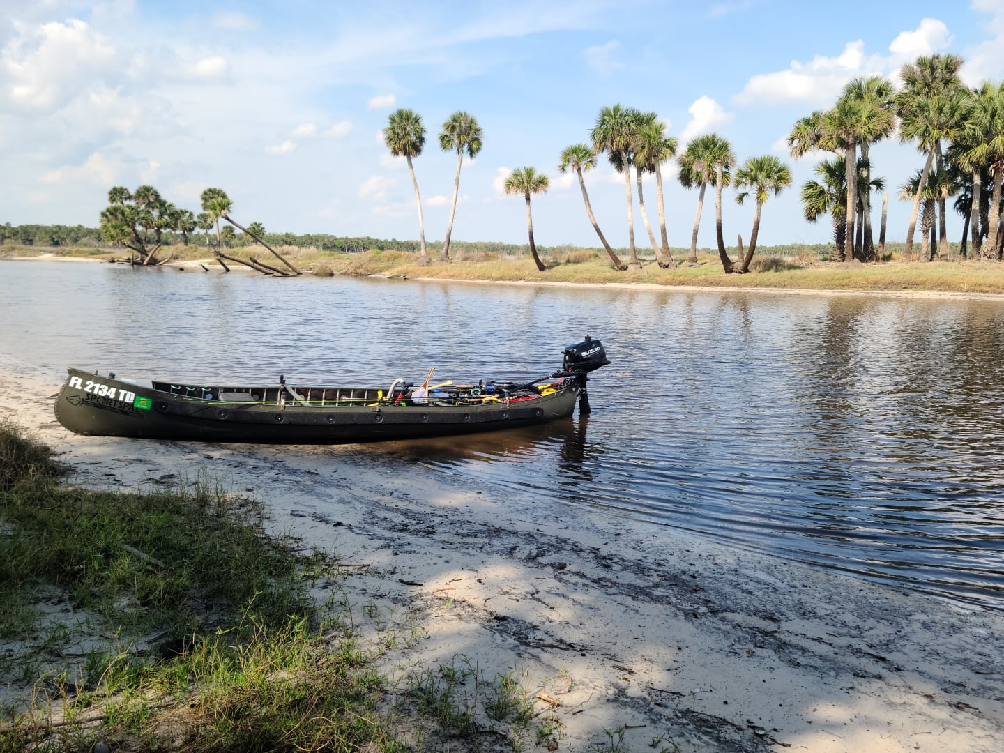 Shad on the Fly - a site dedicated to fly fishing for shad